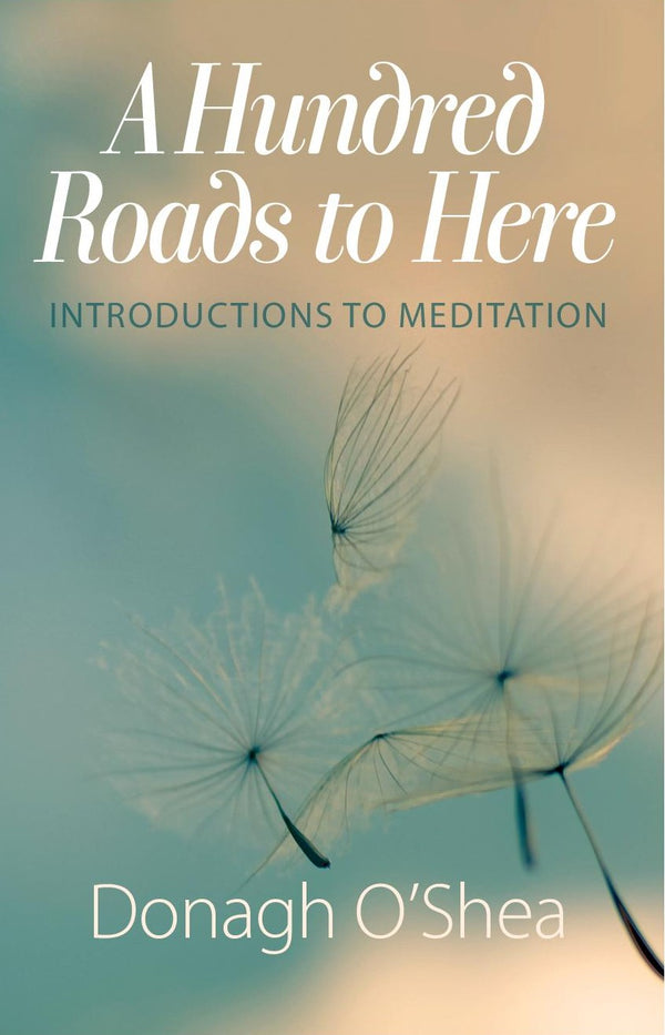 Celebrating 800 Years – Dominican Publications